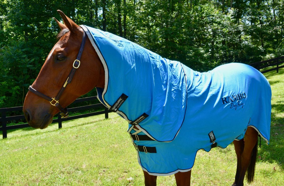 Product Review: Horseware Ireland Rambo Dry Rug Supreme | Eventing ...