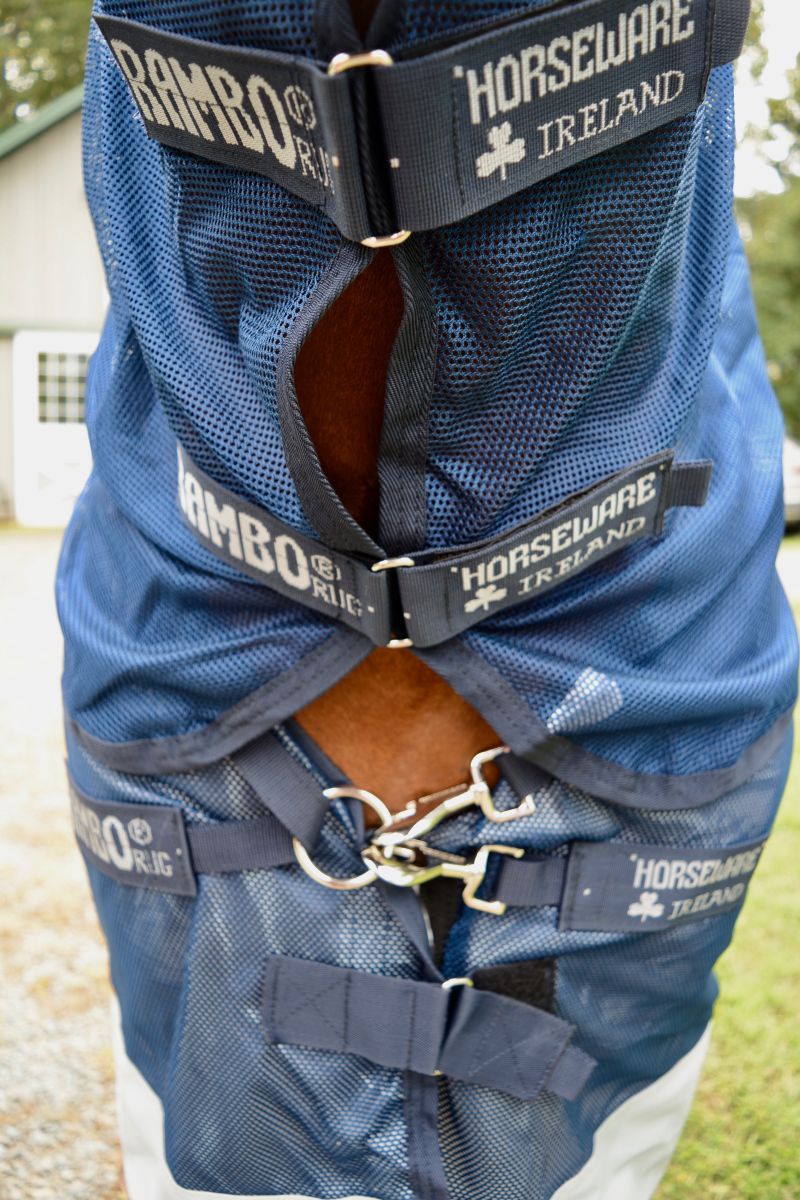 Product Review: Rambo Summer Series Turnout Blanket | Eventing Nation ...