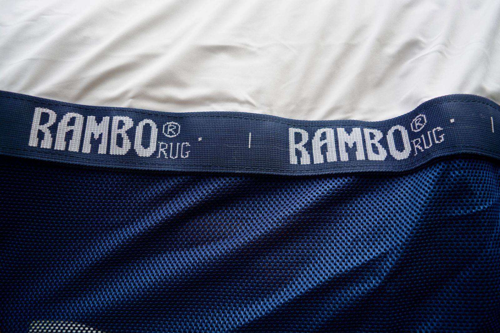 Product Review: Rambo Summer Series Turnout Blanket | Eventing Nation ...