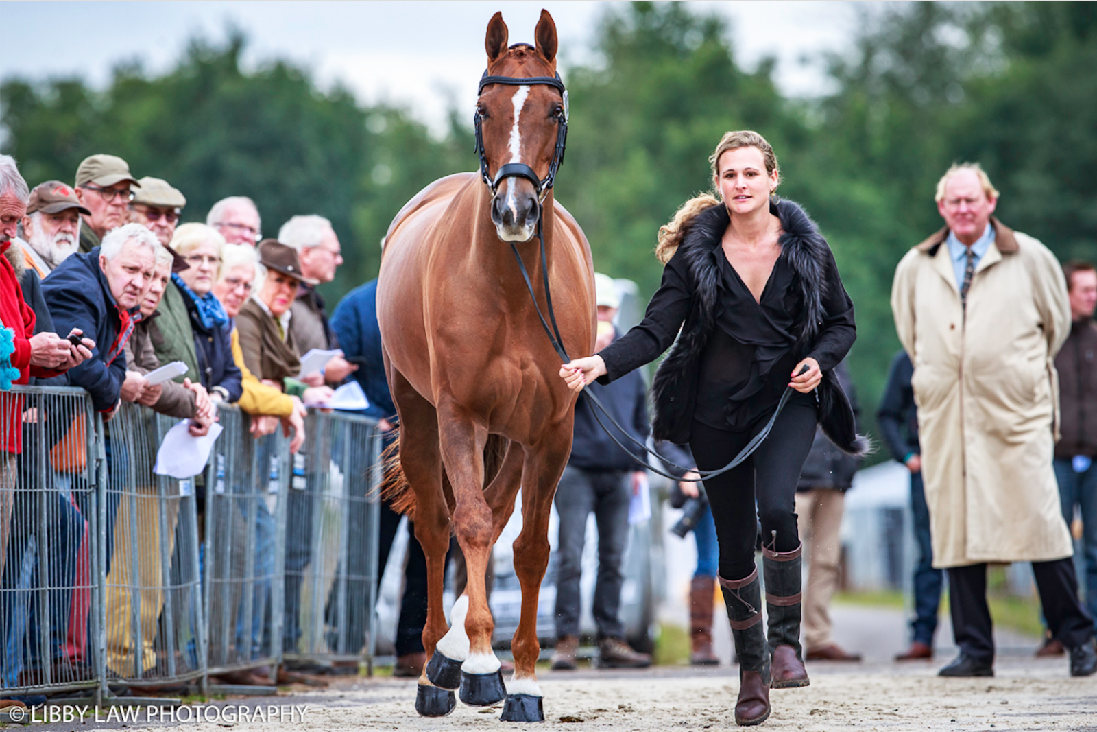 Team USA Sails Through First Horse Inspection at Boekelo | Eventing ...