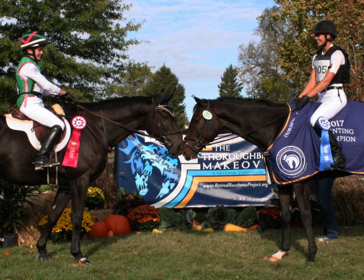 A Peek Behind the Scenes of Allison Thompson’s Thoroughbred Makeover ...