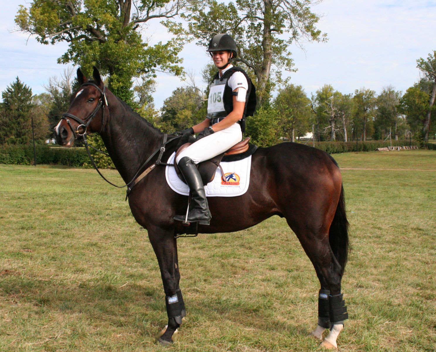 A Peek Behind the Scenes of Allison Thompson’s Thoroughbred Makeover ...