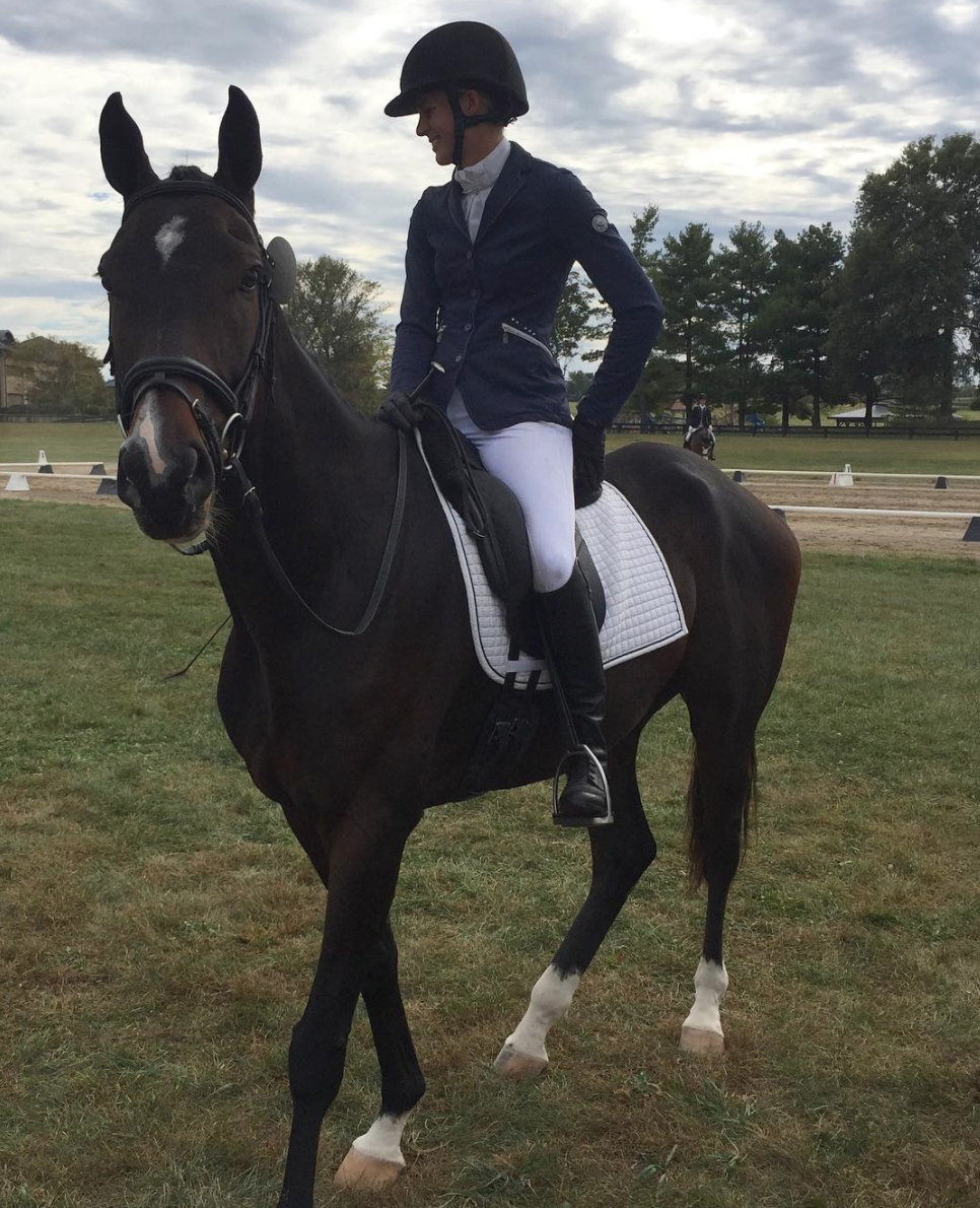 A Peek Behind the Scenes of Allison Thompson’s Thoroughbred Makeover ...