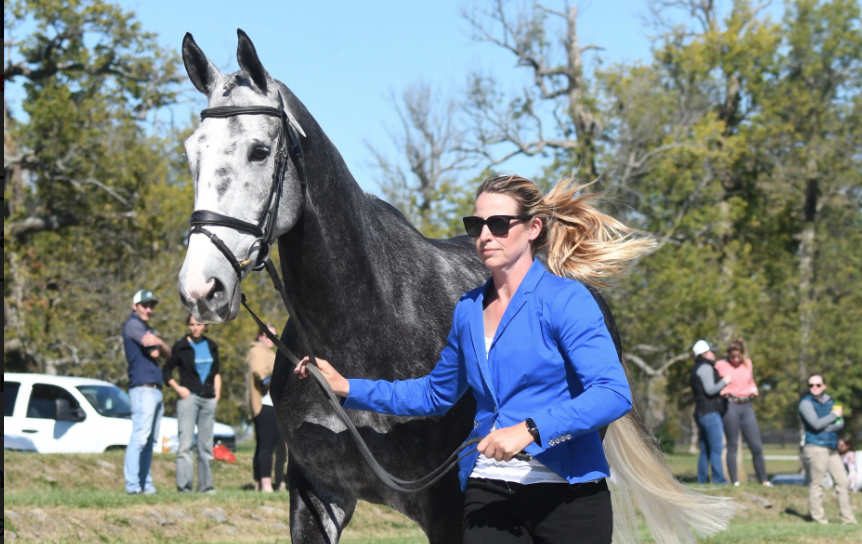 Competition Underway at Hagyard MidSouth Three-Day Event & Team ...