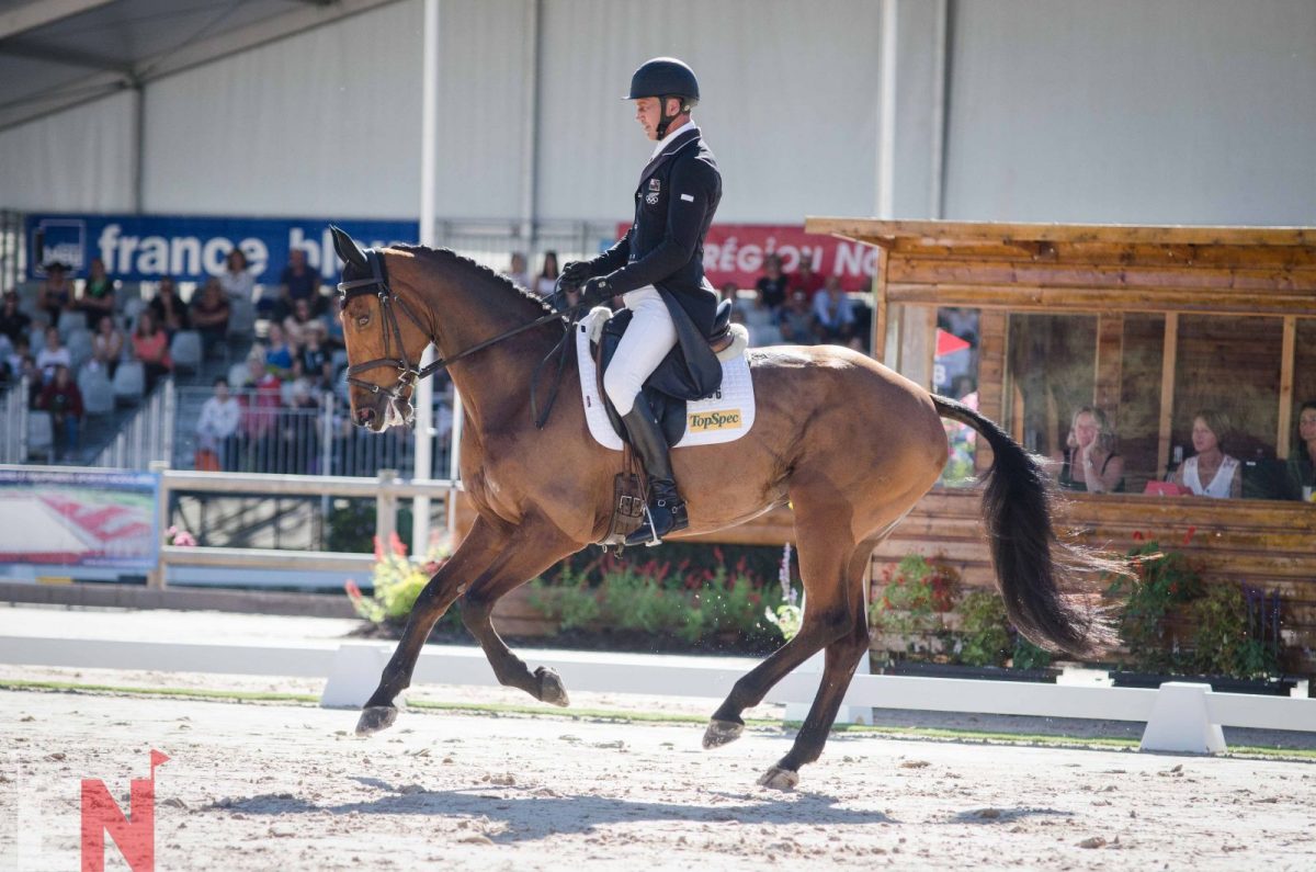 William Micklem: Pau 4* — It Takes a Village, Part 1, The Calm Before ...