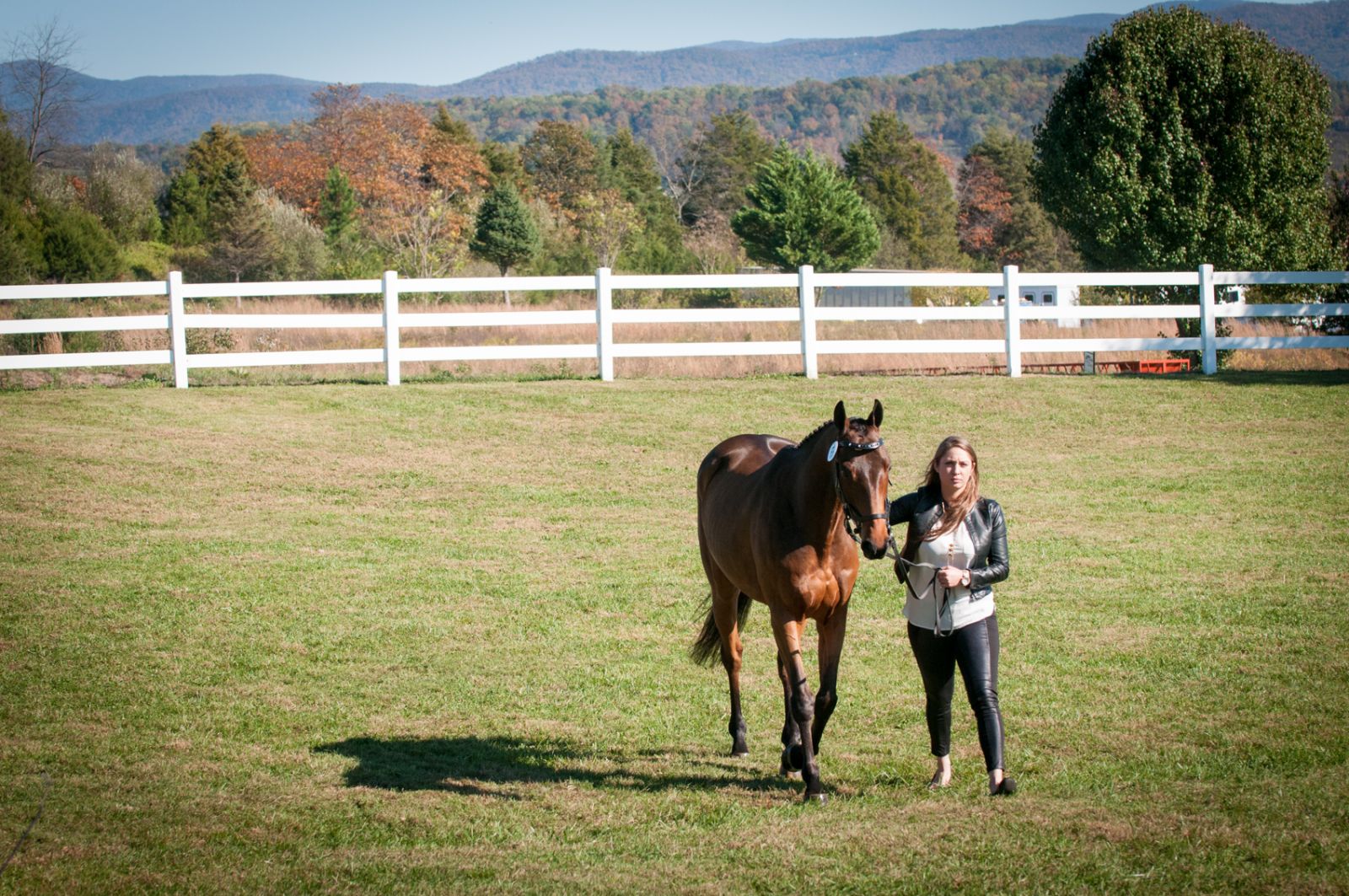 Autumn Leaves and Mountain Views: Virginia Horse Trials Kicks Off with ...