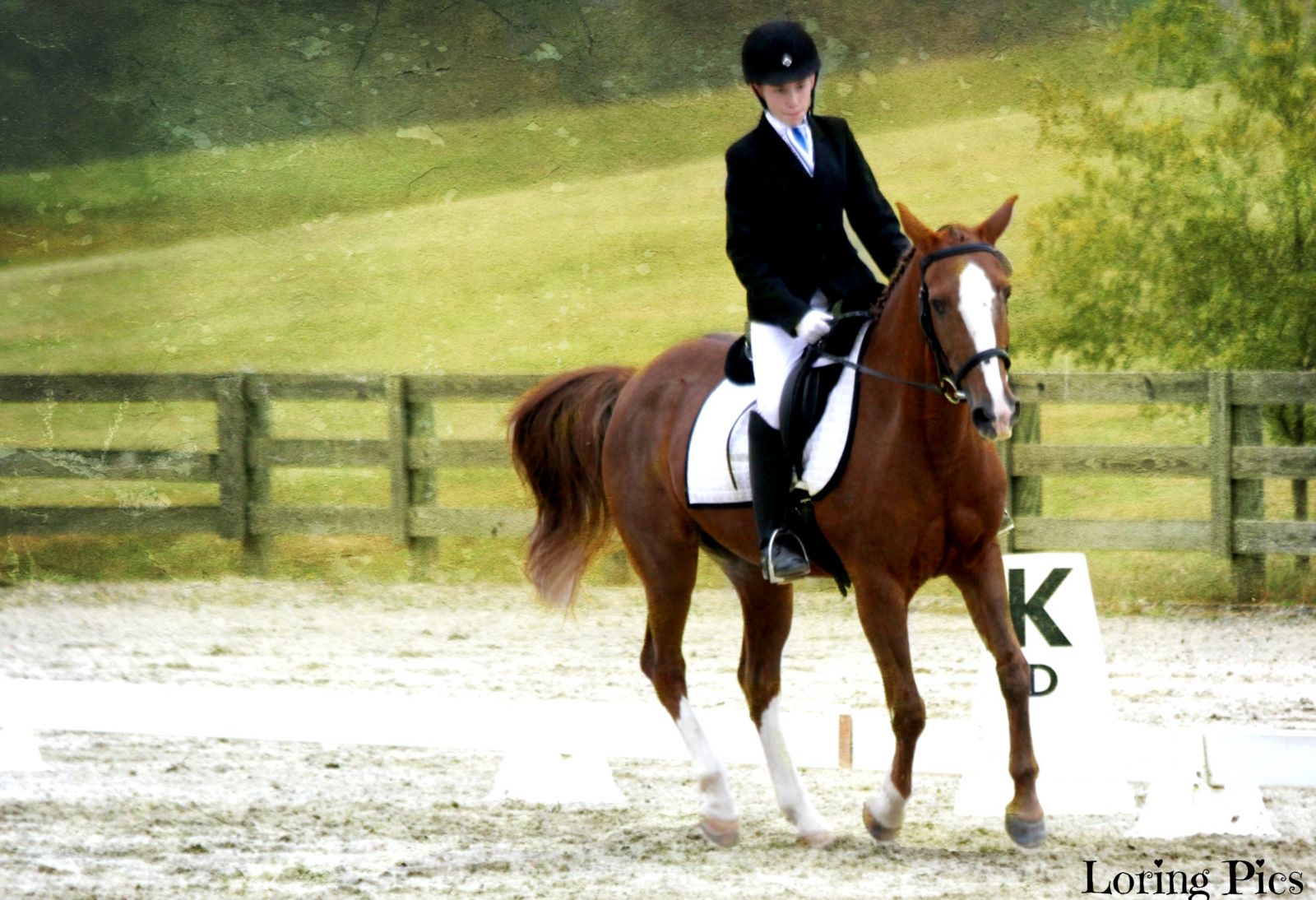 ‘You Want to Hold a What????’: The Story Behind the Southeast Schooling ...