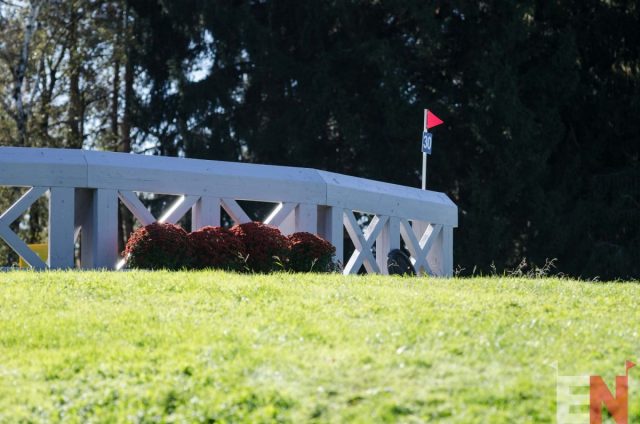 William Micklem: Focusing On the Right Priorities at Pau | Eventing ...