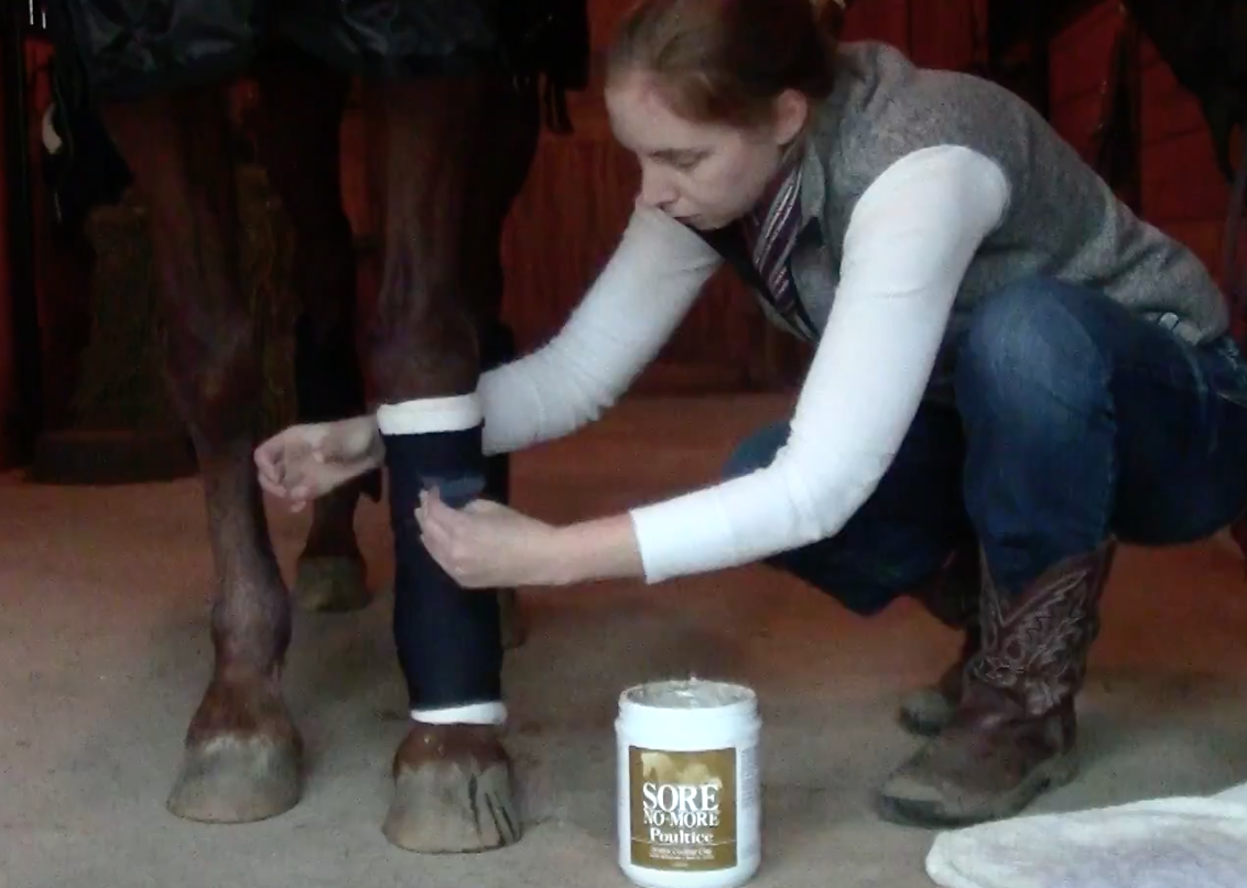 Thursday Video: SmartPak ‘Ask the Vet’ on Liniments vs. Poultices ...