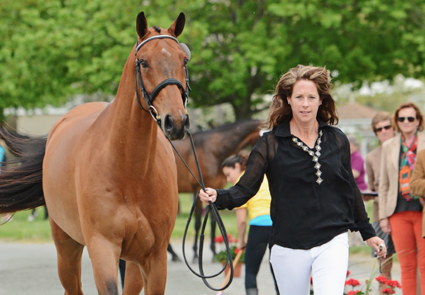 EN’s Year in Review: Top Five Pairs in Show Jumping for 2017 | Eventing ...