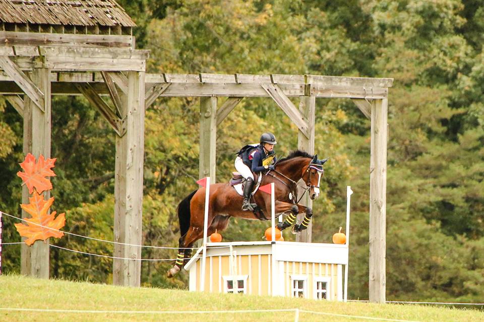 Amanda Beale Clement | Malvern Saddlery