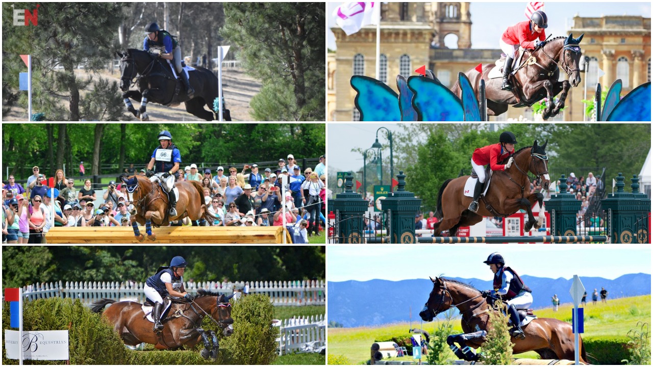 Vote for 2017 Eventing Nation Horse of the Year! | Eventing Nation ...