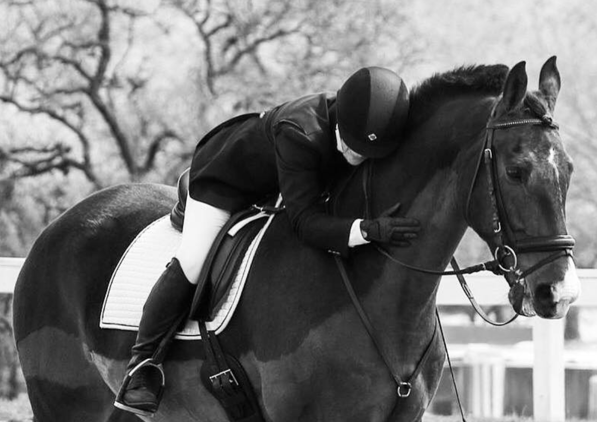 A Valentine to my Horse | Eventing Nation - Three-Day Eventing News ...