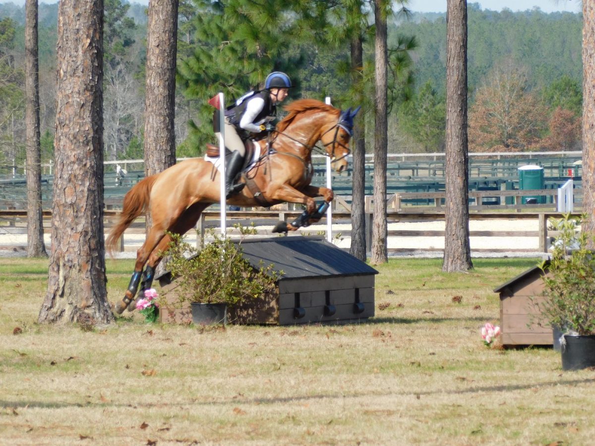 Stable View Prepares for Inaugural Eventing Academy Weekend | Eventing ...