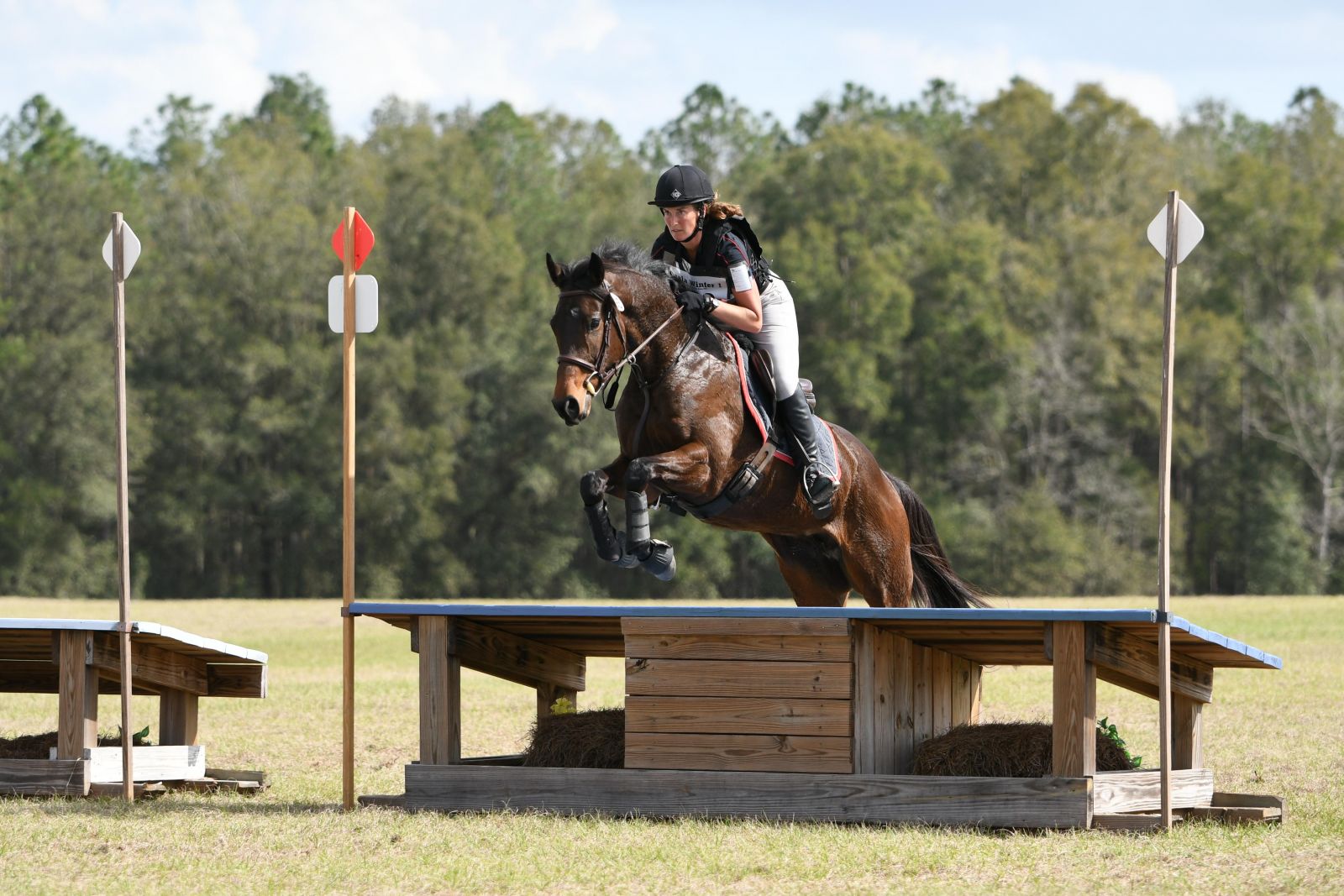 Sport Horse Nation Spotlight: This One’s For the Girls | Eventing ...