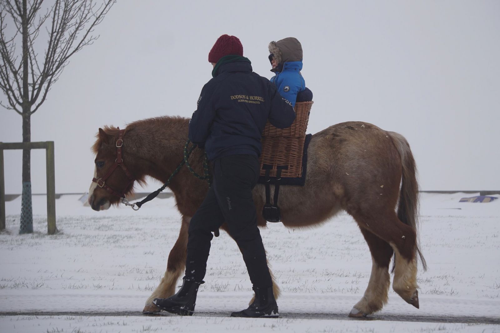Equestrians vs. ‘Beast From the East’ | Eventing Nation - Three-Day ...