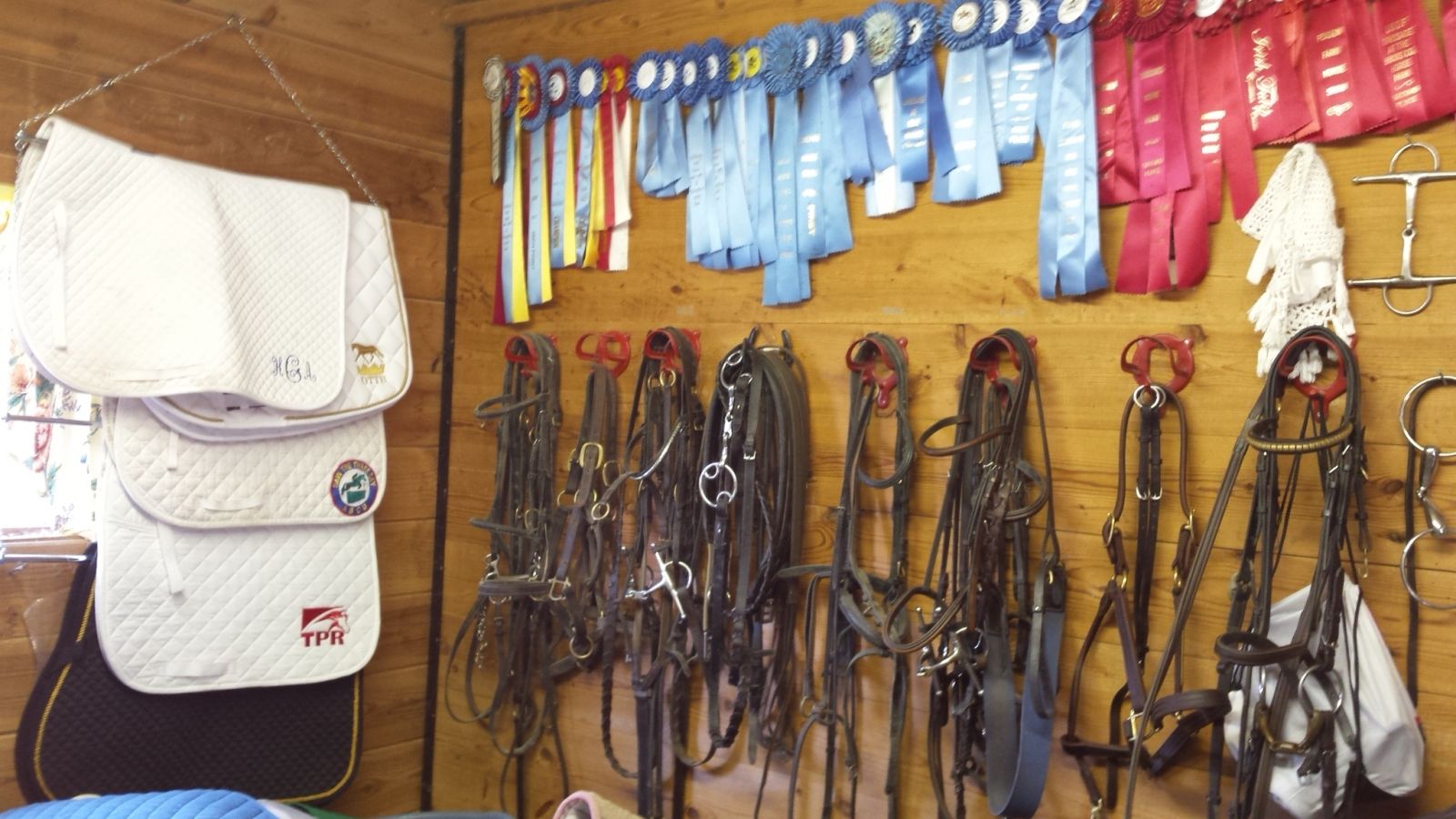 Cleaning Out the Tack Room | Eventing Nation - Three-Day Eventing News ...