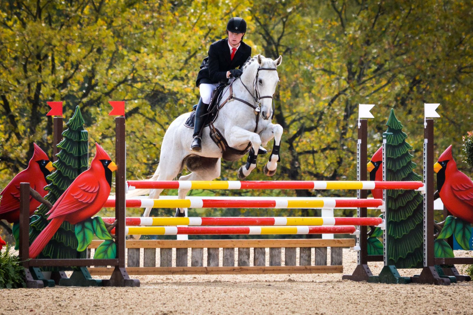 After Near Heartbreak, Colin Gaffney’s 2017 Concludes in Triumph ...