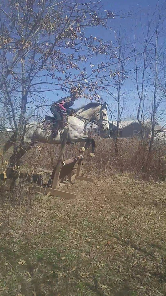 Prepping for Prelim: Does Size Matter? | Eventing Nation - Three-Day ...