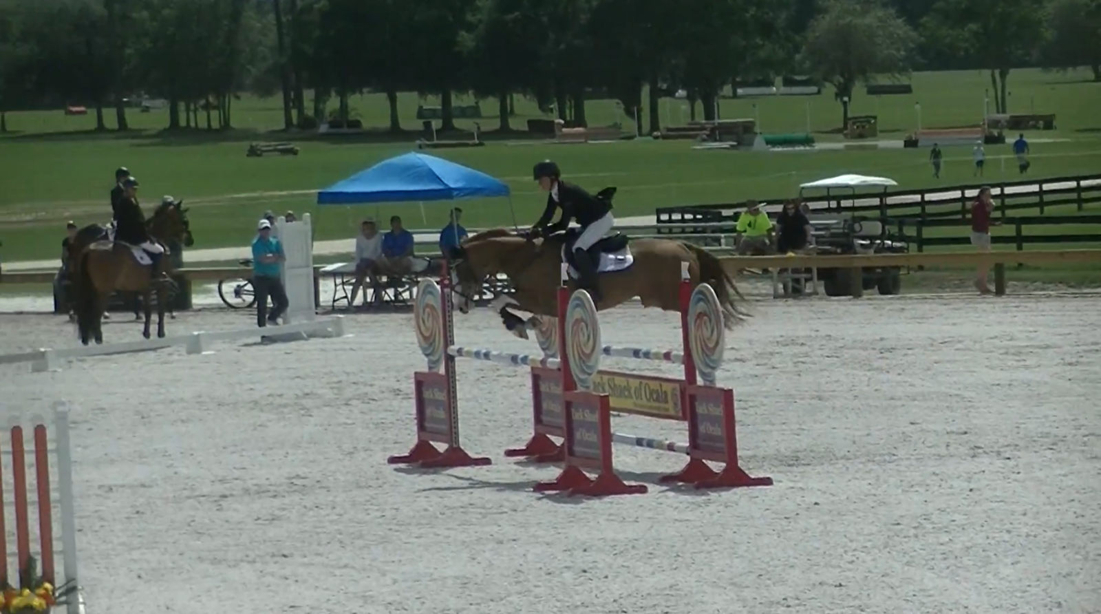Caroline Martin Back in Action at Ocala International + Day 2 Report ...