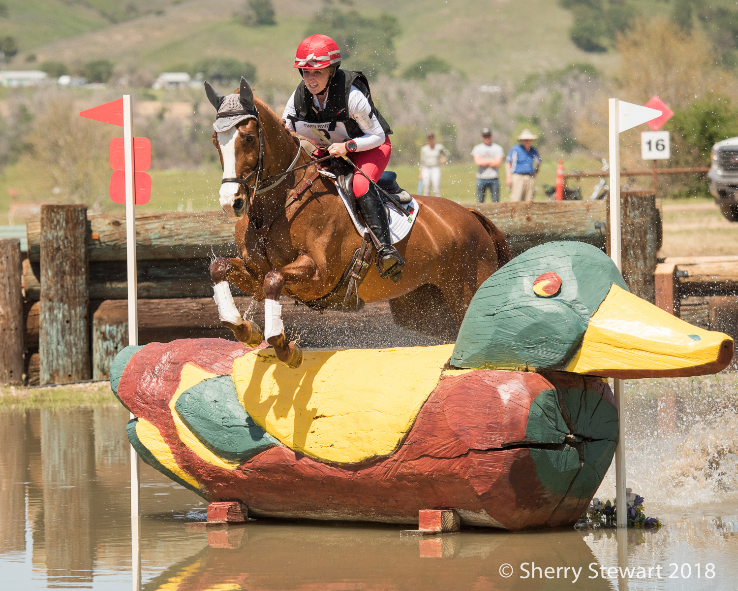 Defending Champions & New Talent: Area VI Set for Return to Rebecca ...