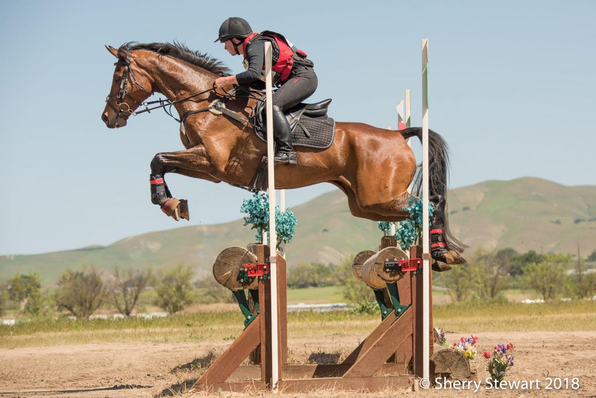 Alyssa-Schaefer-Fuego | Eventing Nation - Three-Day Eventing News ...