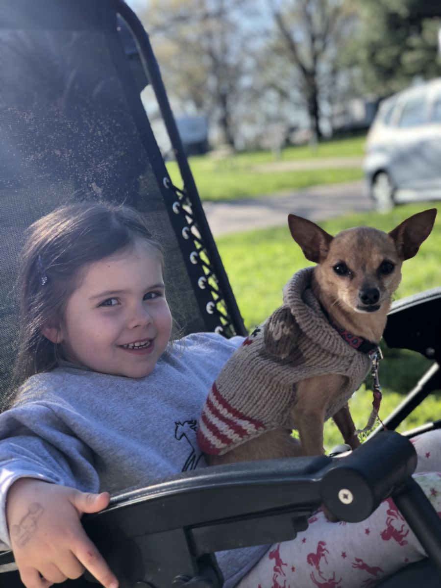 Vote for the Winner of EN’s 7th Annual 2018 Kentucky Top Dog Contest ...