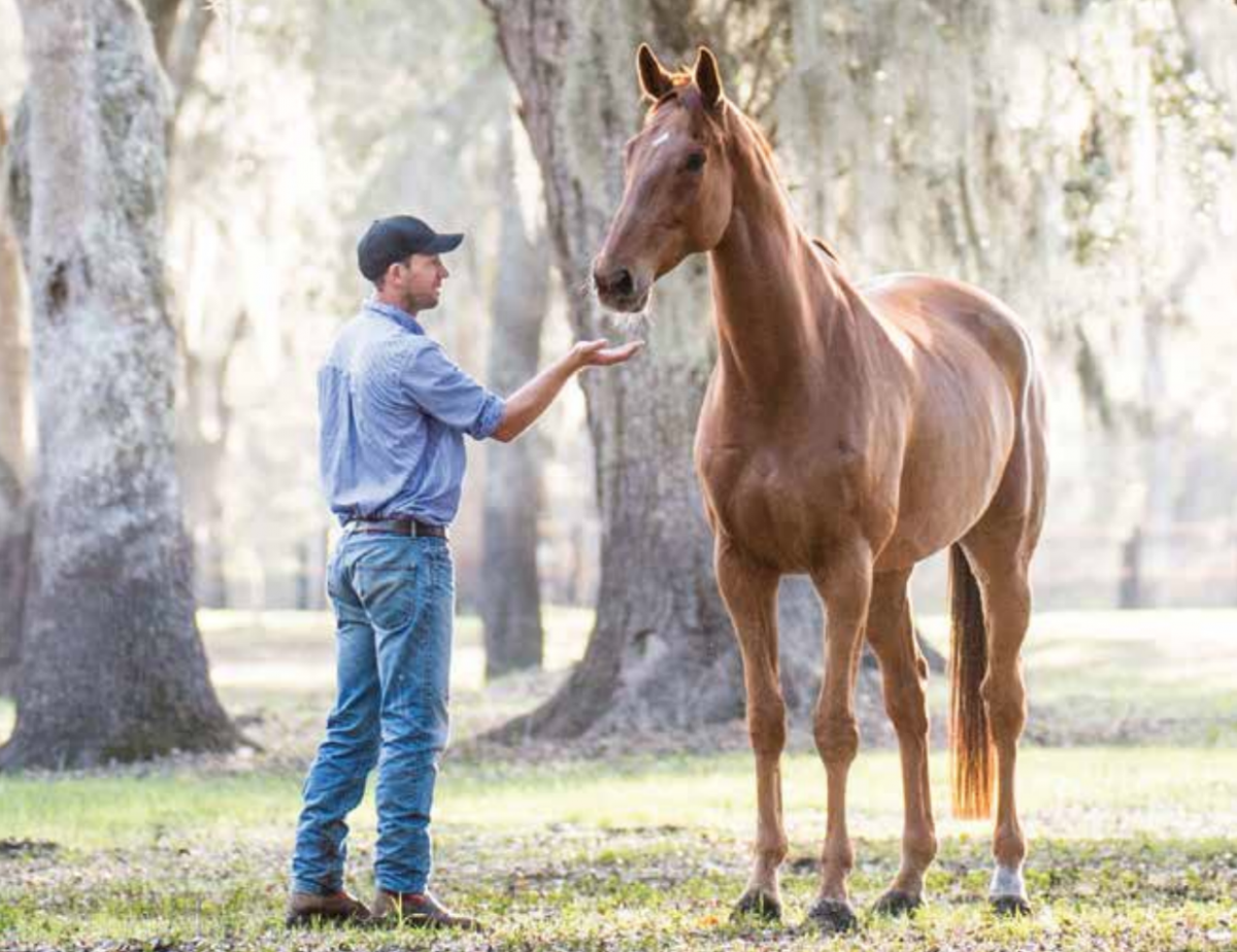 Tik Maynard: His New Book, His Path to Here, and Finding a Balance ...