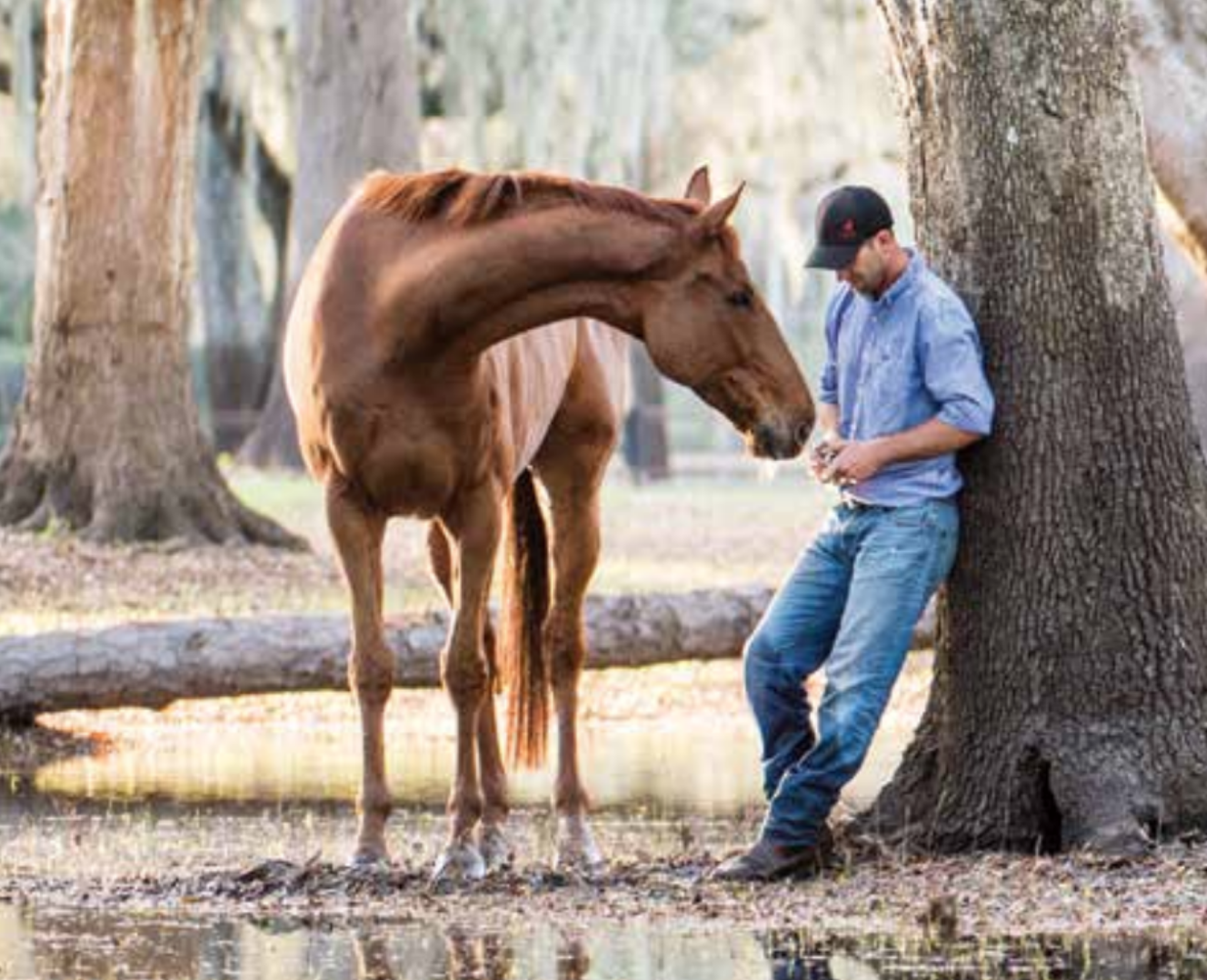 ‘In the Middle Are the Horsemen’ by Tik Maynard: Excerpt II | Eventing ...