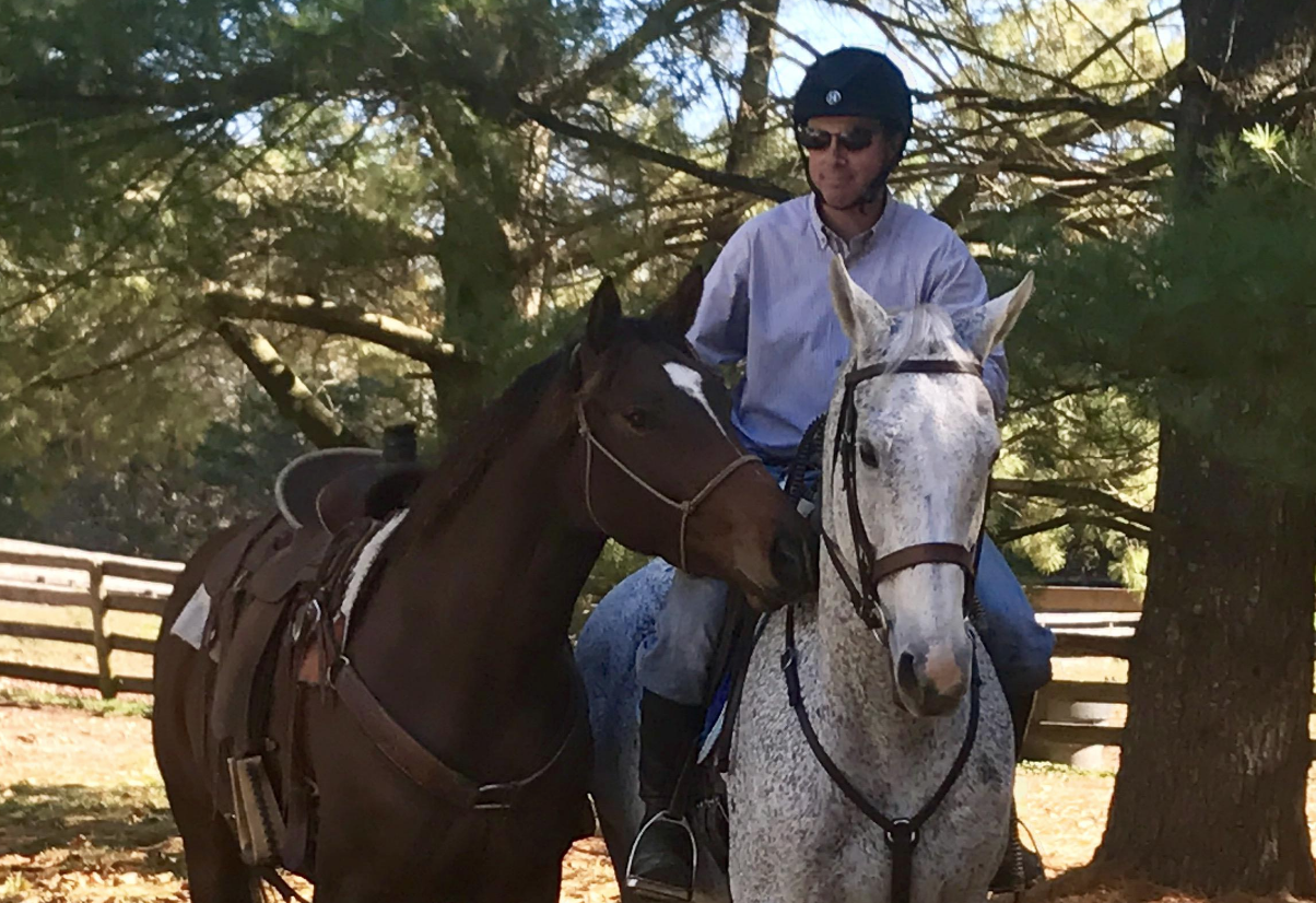 So You Want to Get an OTTB, Part II: The First Few Dates | Eventing ...