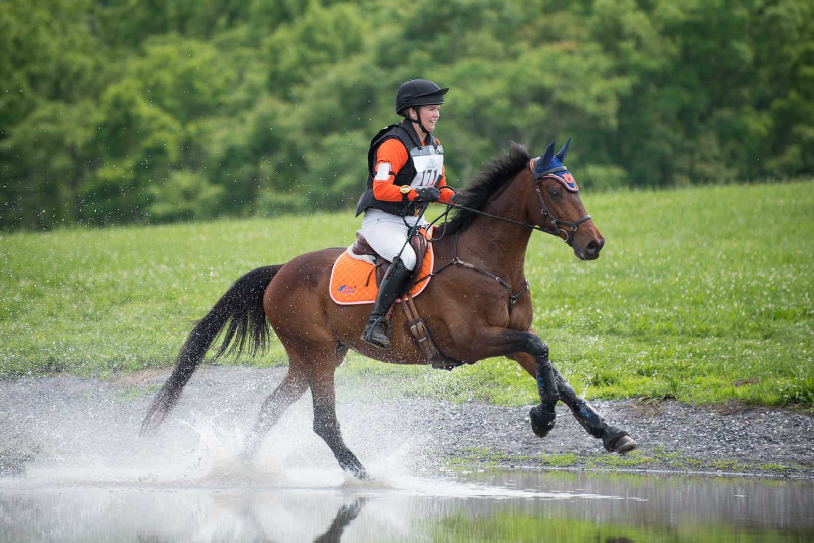 22 Teams Ready to Tackle USEA Intercollegiate Championship at ...