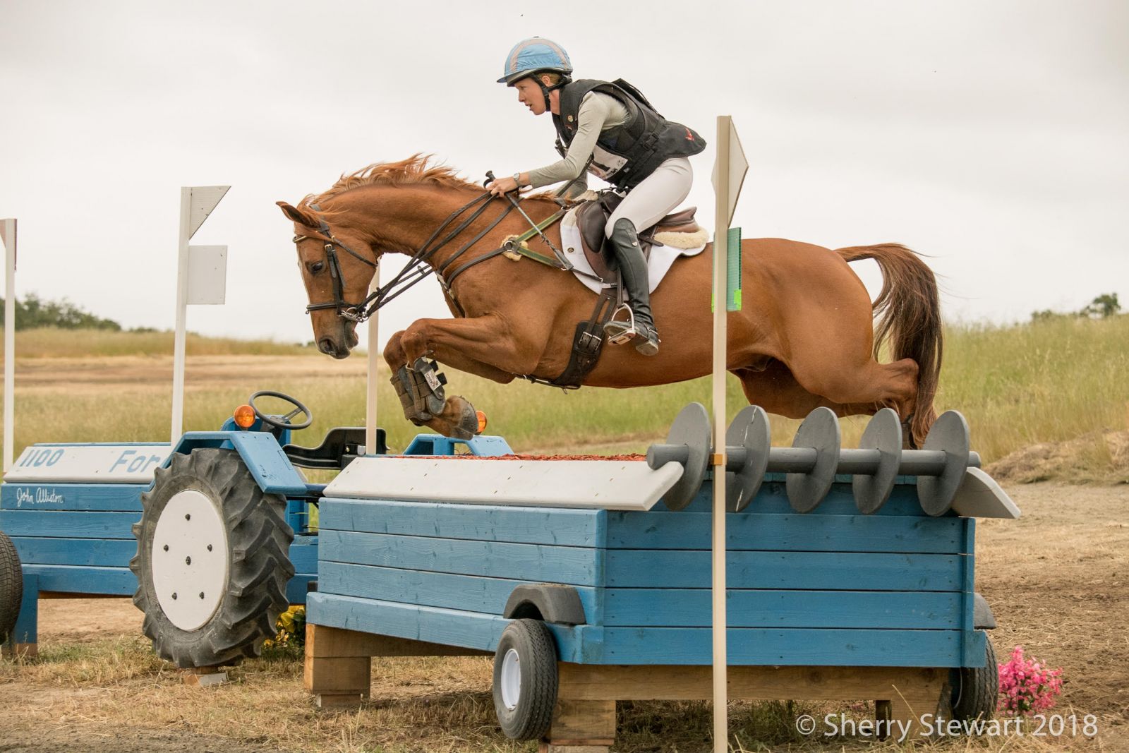 Who Jumped It Best? Woodside Preliminary Challenge Edition | Eventing ...