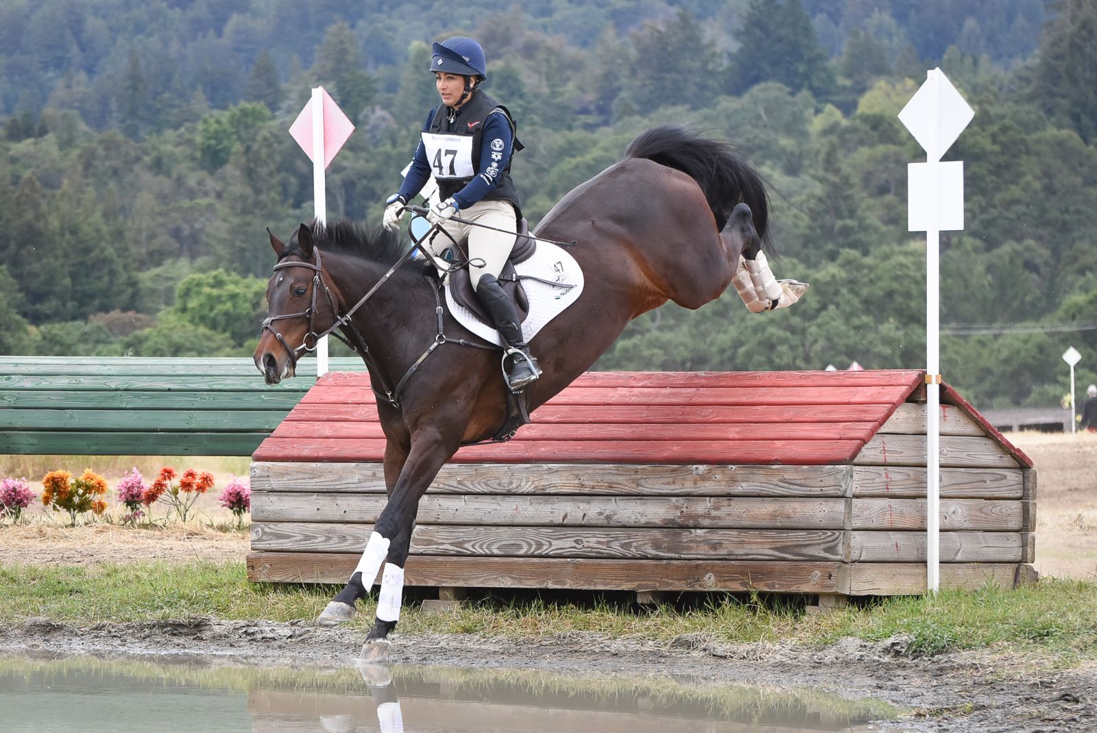 Thursday Video from Professional’s Choice: Bitting with Gina Miles ...