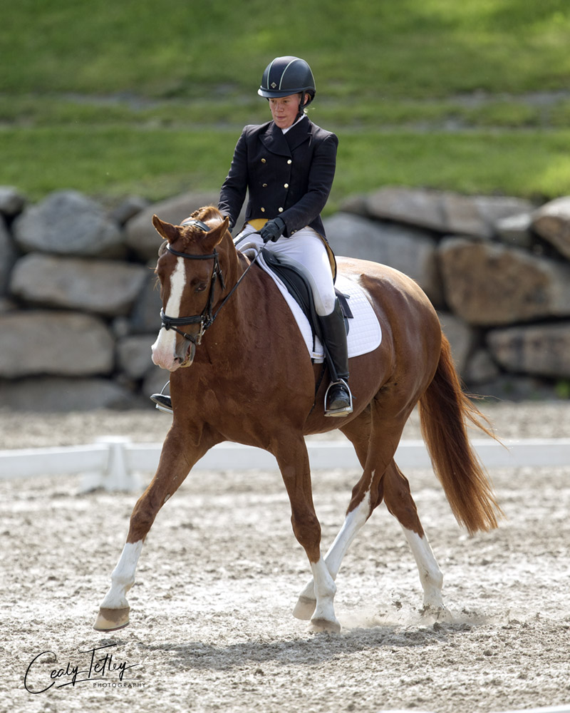 Will Coleman, Arden Wildasin Win the Day at Bromont CCI | Eventing ...