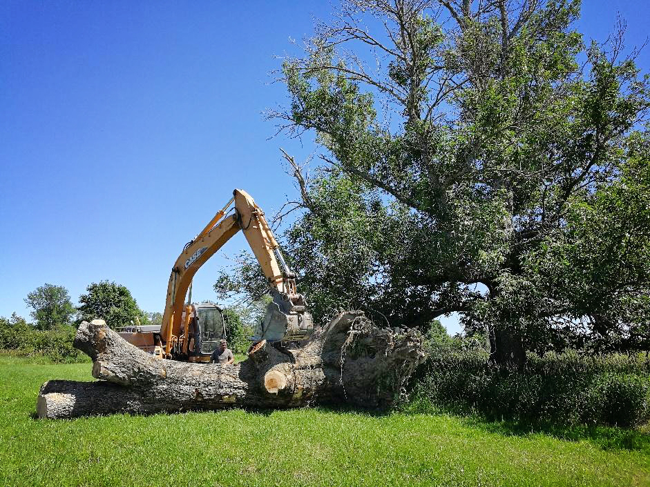 10 Things You Need to Know about Foshay: Canada’s Newest FEI Event ...