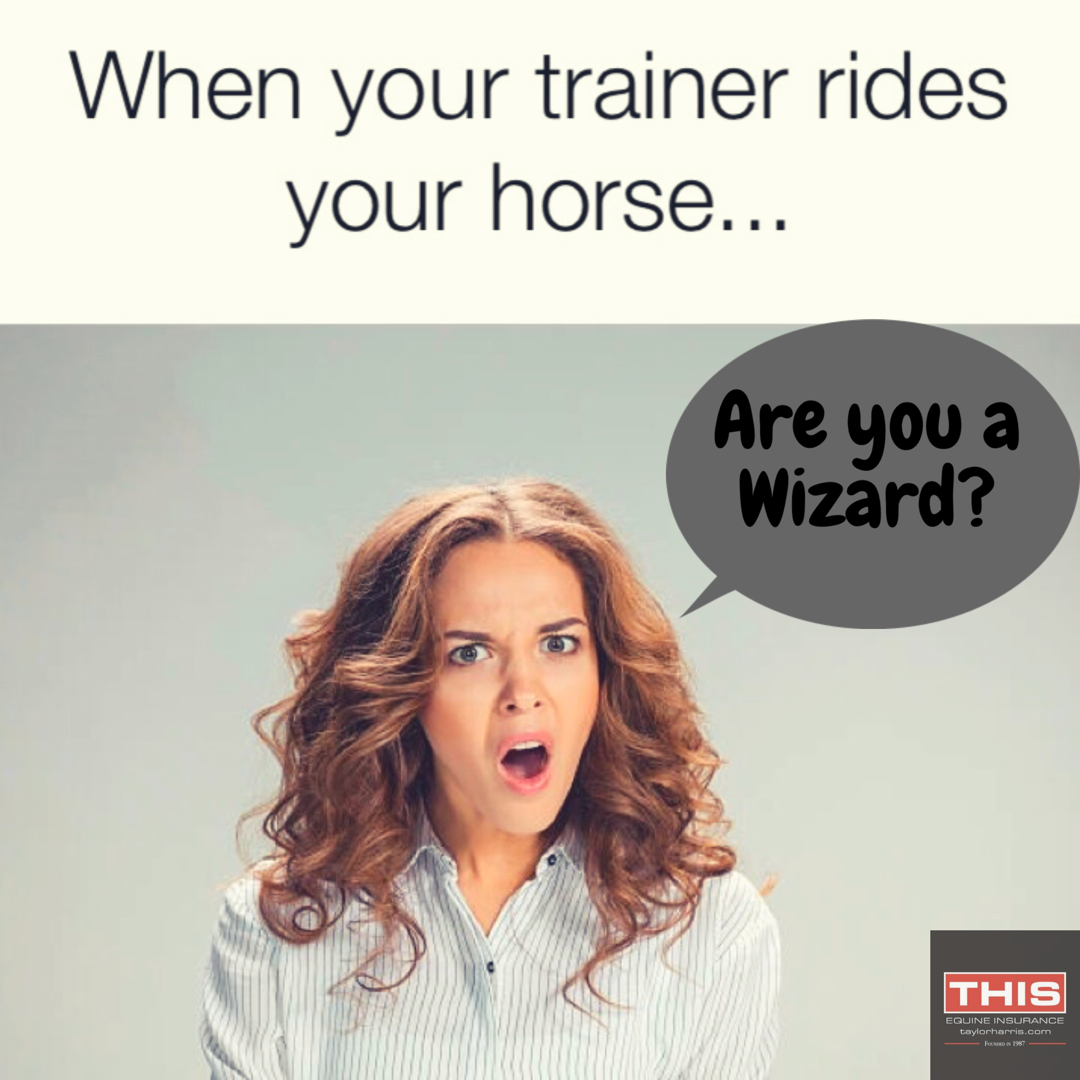 Thursday News & Notes from Taylor Harris Insurance Services (THIS ...