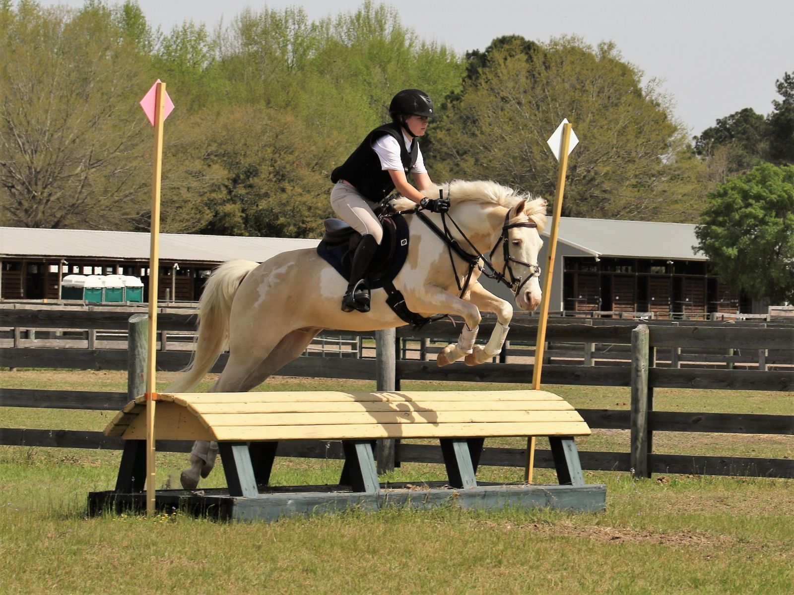 Sport Horse Nation Spotlight: Power Packed Pony Show | Eventing Nation ...
