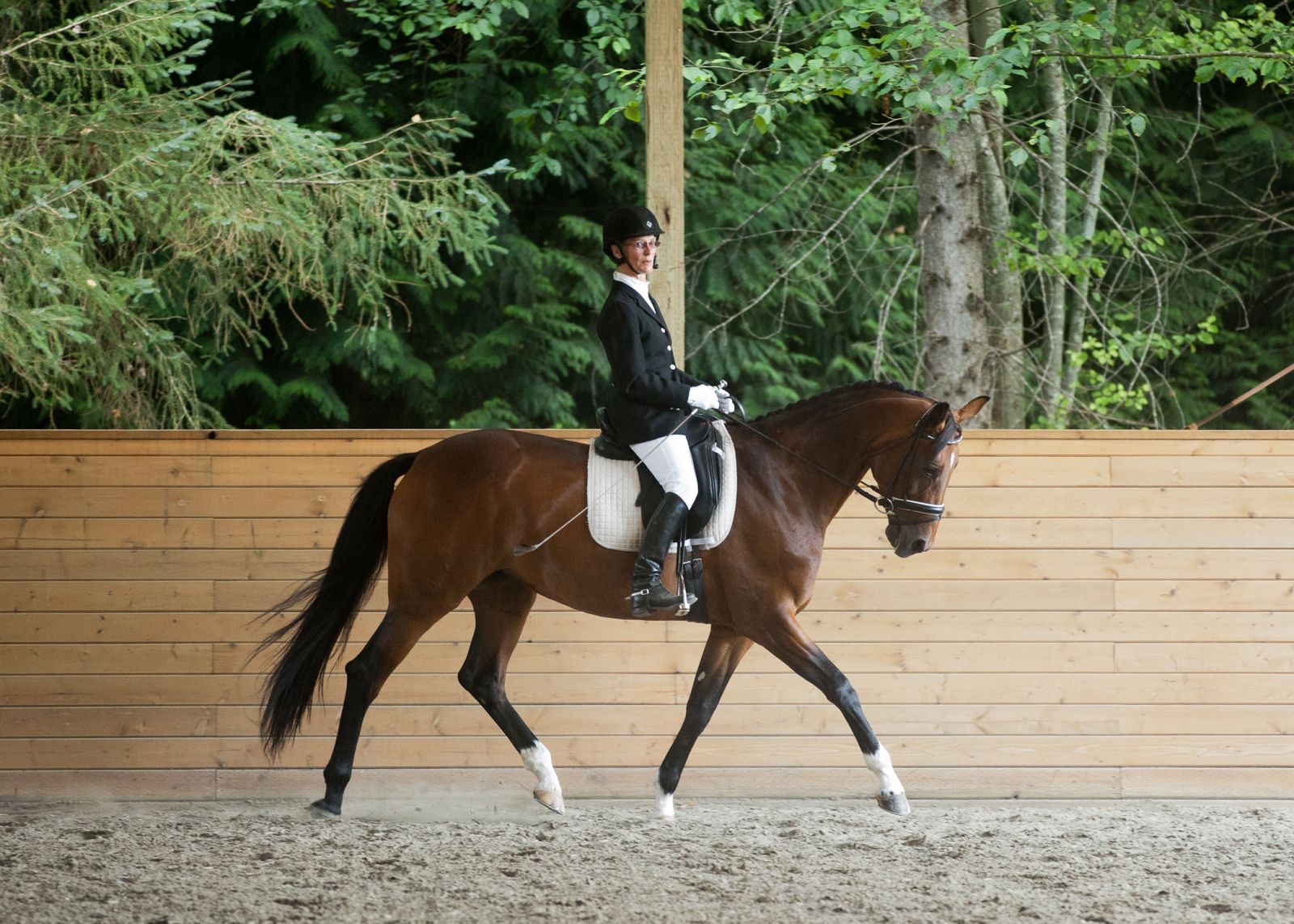Finding a Horse That Fits: An Excerpt from ‘The Riding Doctor ...