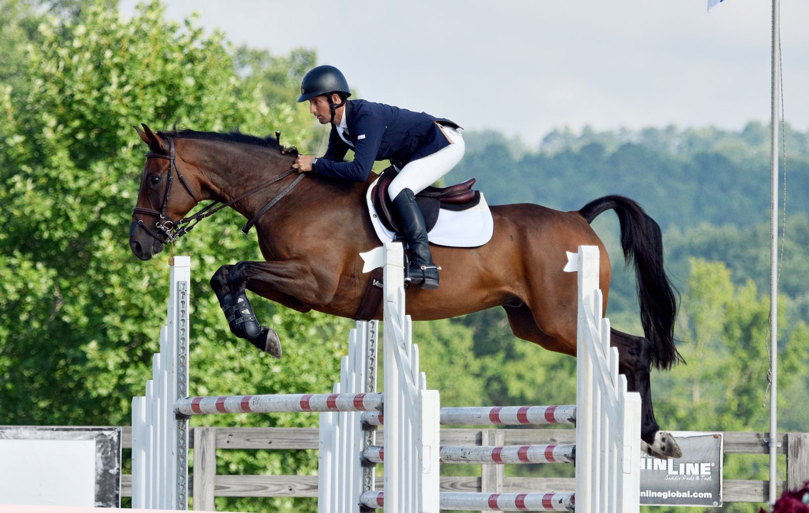 EN’s Got Talent: Andrew McConnon and Bossinova | Eventing Nation ...