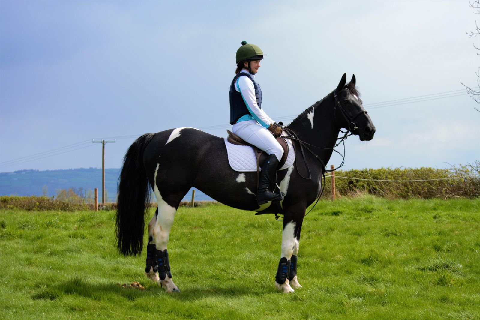 Sport Horse Nation Spotlight: 5 Lucky Irish Rides | Eventing Nation ...