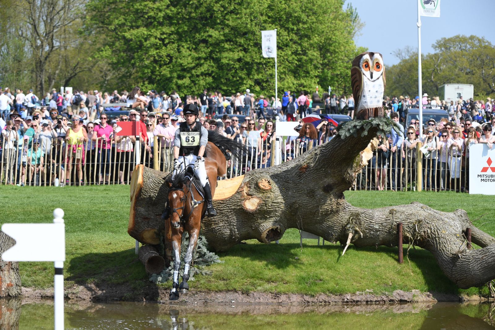 The Four Stars of Tom Crisp: Britain’s Under-the-Radar Superstar ...