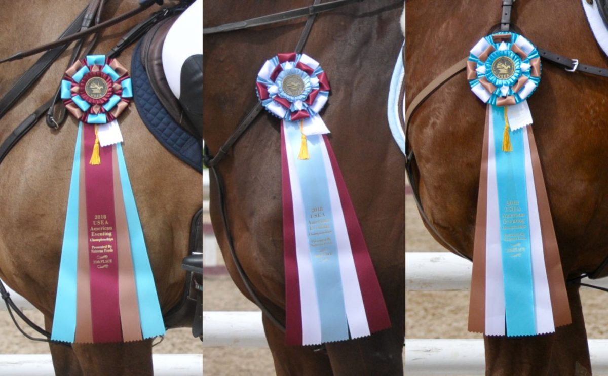 AEC Show Jumping Instagram Roundup: Show Us Your Ribbons! | Eventing ...