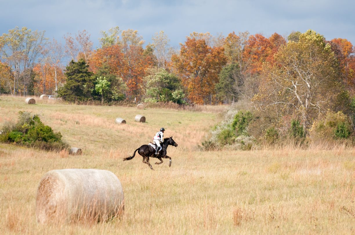 What’s Happening This Fall? [Updated 11/21] | Eventing Nation - Three ...