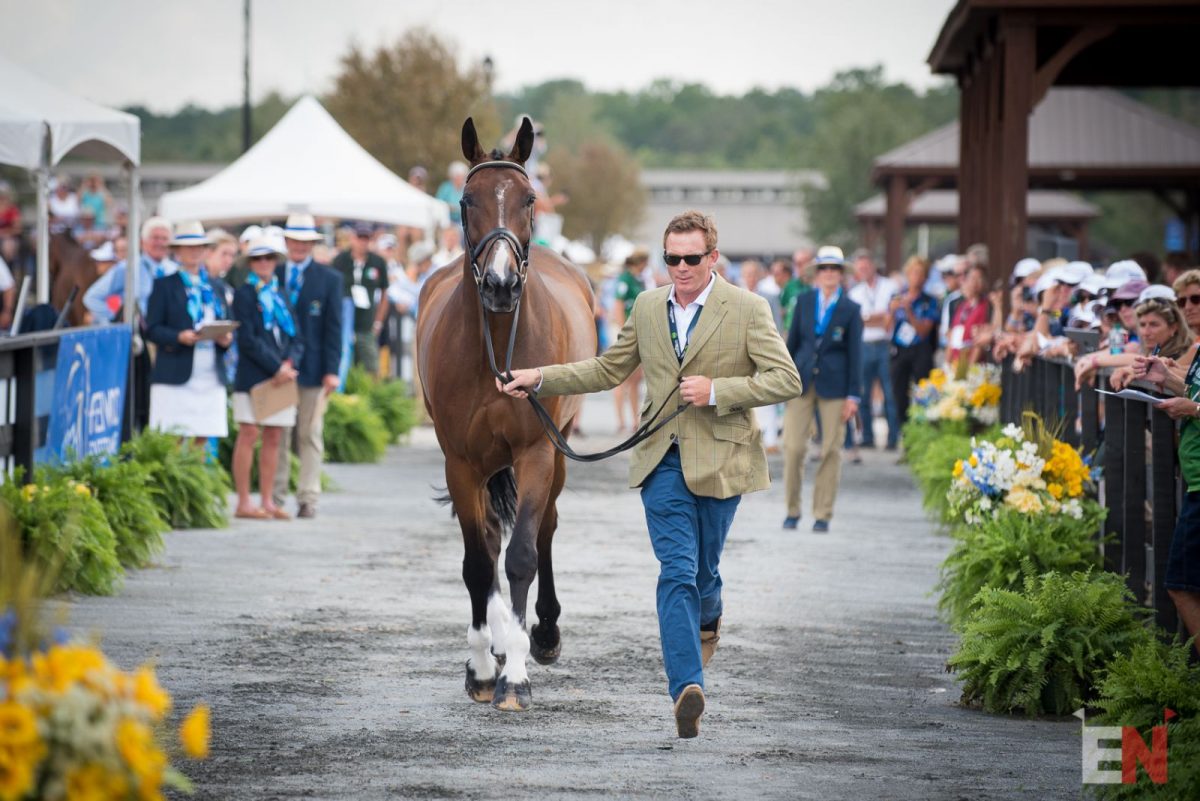 Padraig-McCarthy-and-Mr-Chunky-IRL | Eventing Nation - Three-Day ...