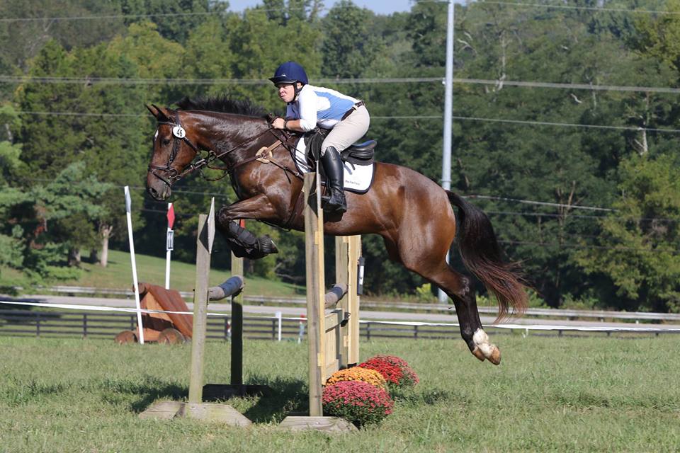 Flying Cross Fantasticness | Eventing Nation - Three-Day Eventing News ...