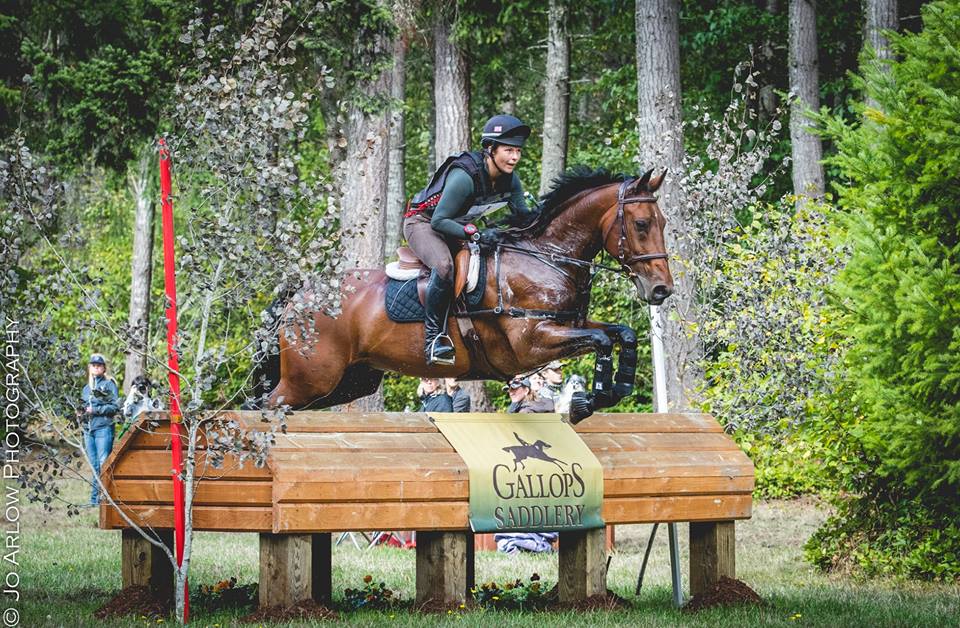 Sunday Video from Total Saddle Fit: Area VII Champions Bring It Home at ...