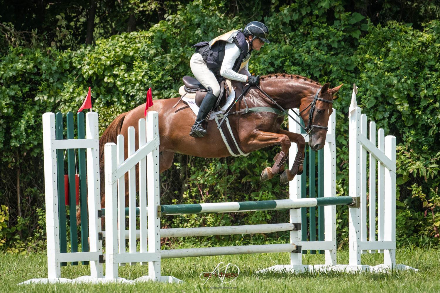 Sport Horse Nation Spotlight: Six Future Eventing Stars | Eventing ...