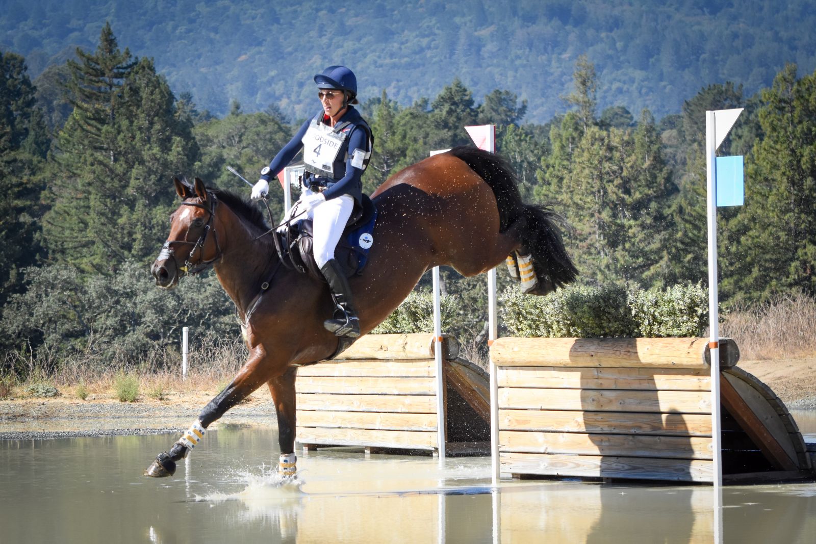 Watch the Woodside CIC Cross Country Live Stream | Eventing Nation ...
