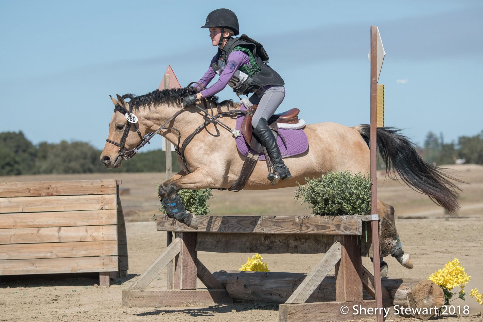Who Jumped It Best? Woodside Junior Beginner Novice Rider Edition ...