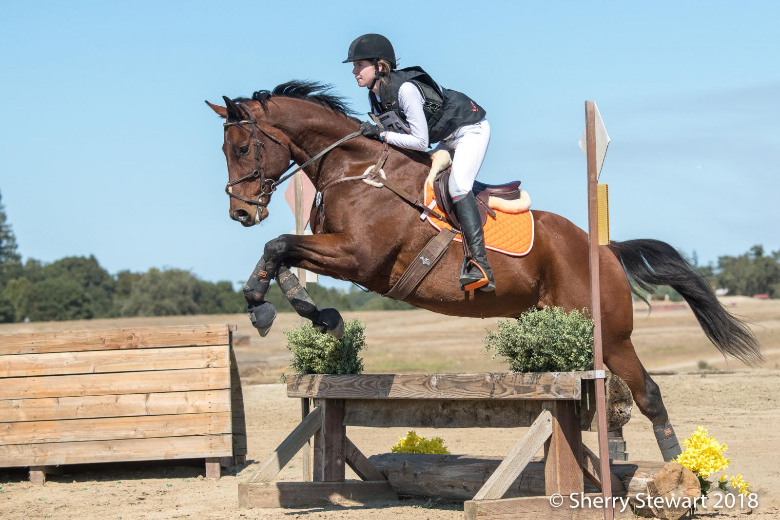 Who Jumped It Best? Woodside Junior Beginner Novice Rider Edition ...